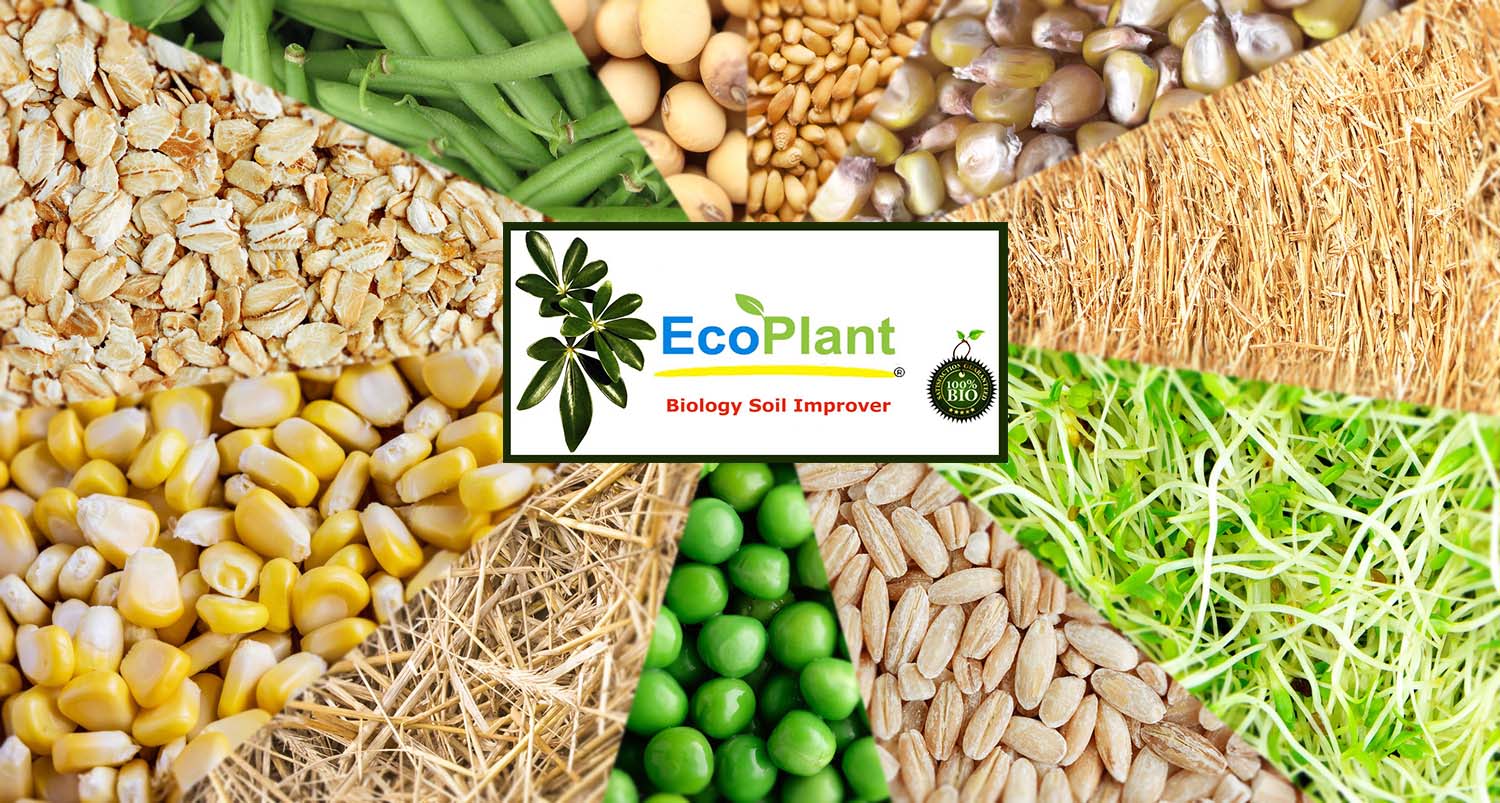 Home - EcoPlant